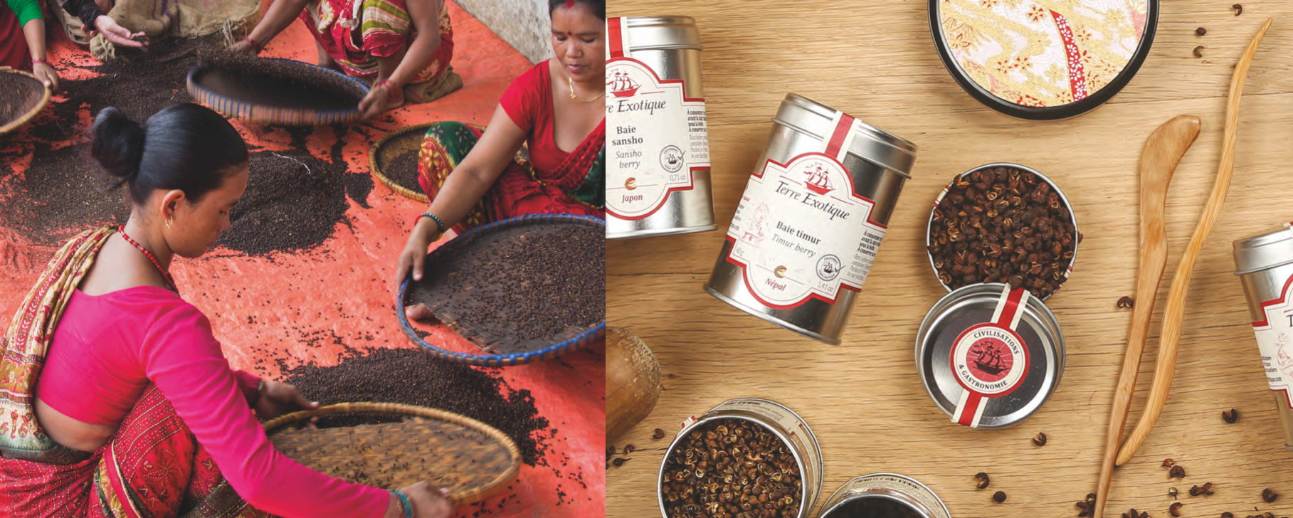 Spices | San Francisco Specialty Foods