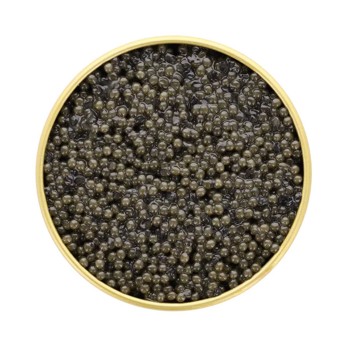 American Paddlefish Caviar | San Francisco Specialty Foods