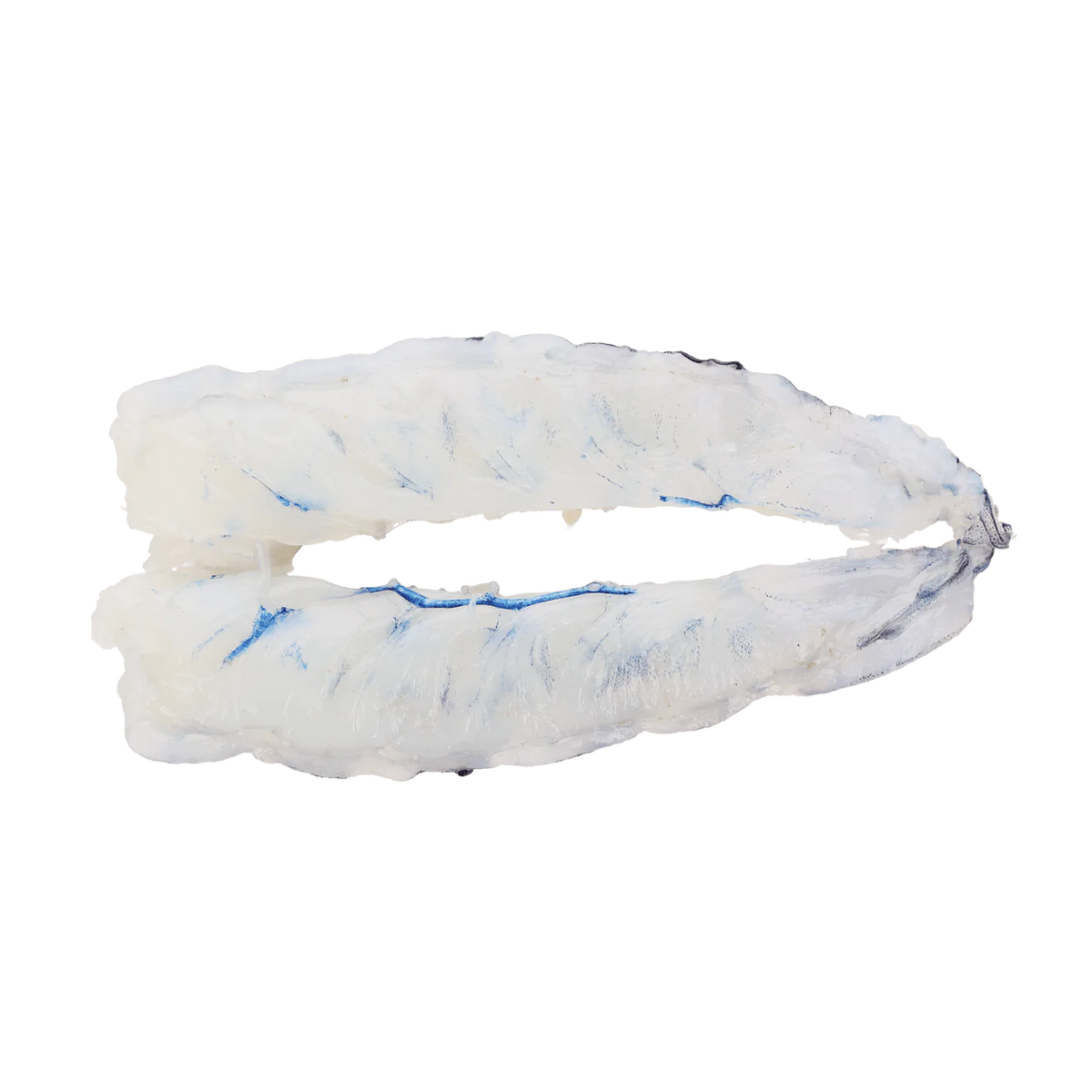 New Caledonia Blue Prawns | San Francisco Specialty Foods
